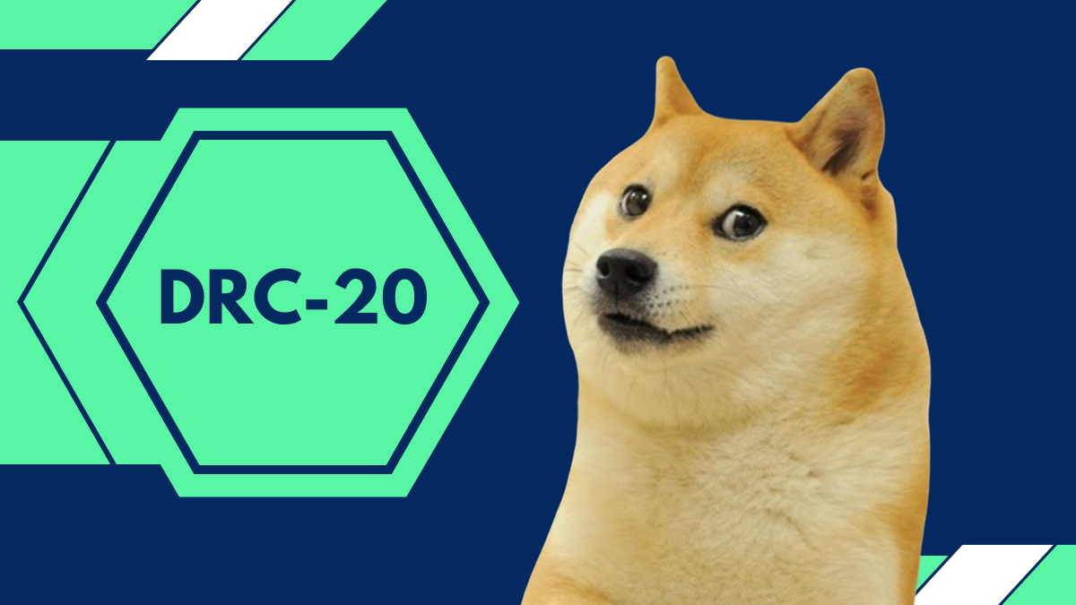 DRC-20 là gì? Khởi nguồn cho cơn bão memecoin trên Dogecoin